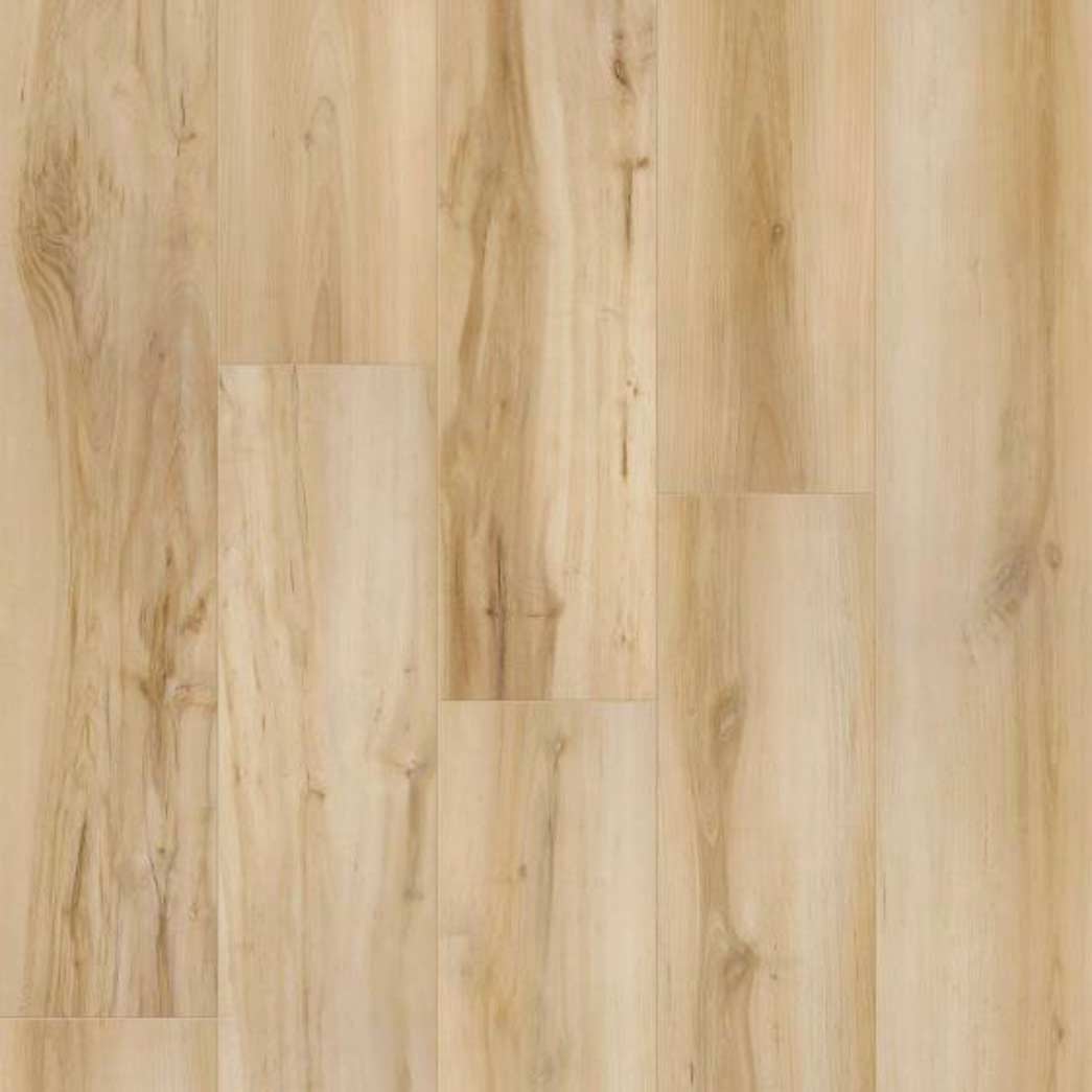 Shaw Fresh Take 9" 3415V Luxury Vinyl Plank At WoodWudy Wholesale ...