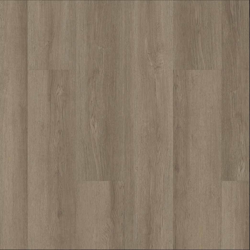 Shaw Alba Reserve 8mil 5M327 7" Wide Glue Down LVP Call For a Quote ...