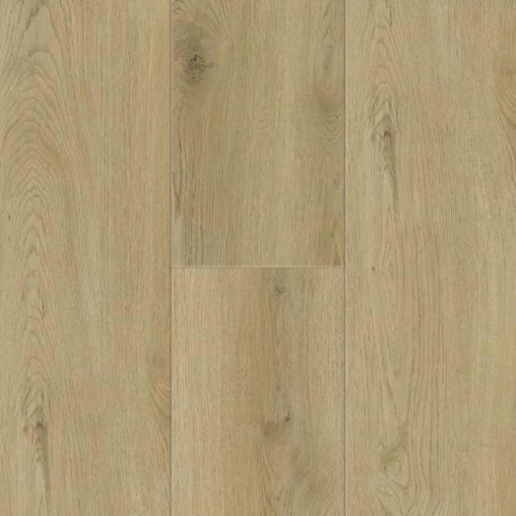 Titan Surfaces Essentials TW05 9" Width LVP Amazing Pricing! – Woodwudy ...