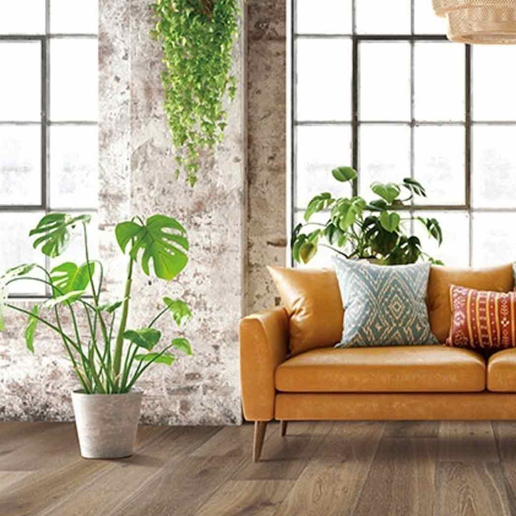 Chesapeake Points East Engineered Hardwood Woodwudy Wholesale ...