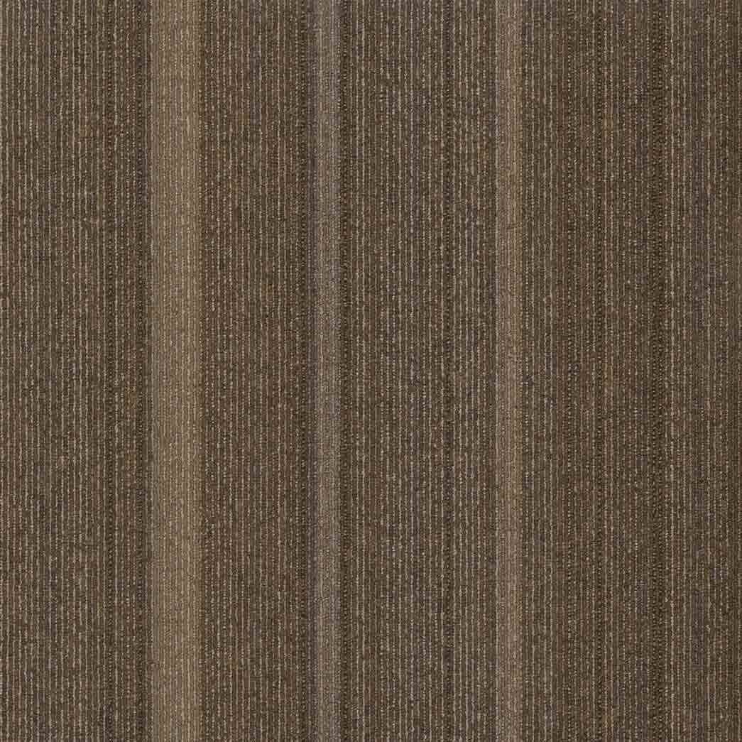 Pentz Linea 7568T Carpet At A Great Price – Woodwudy Wholesale Flooring