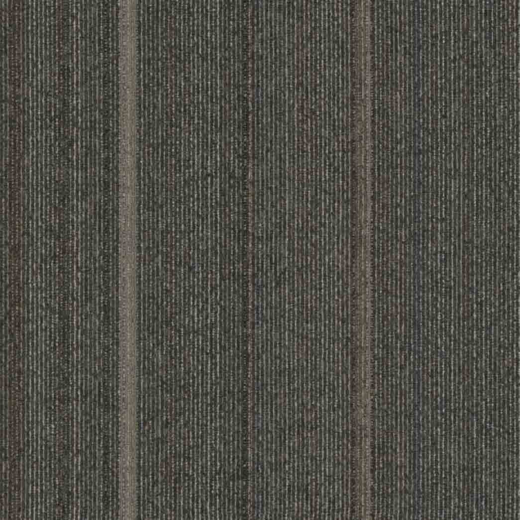 Pentz Linea 7568T Carpet At A Great Price – Woodwudy Wholesale Flooring