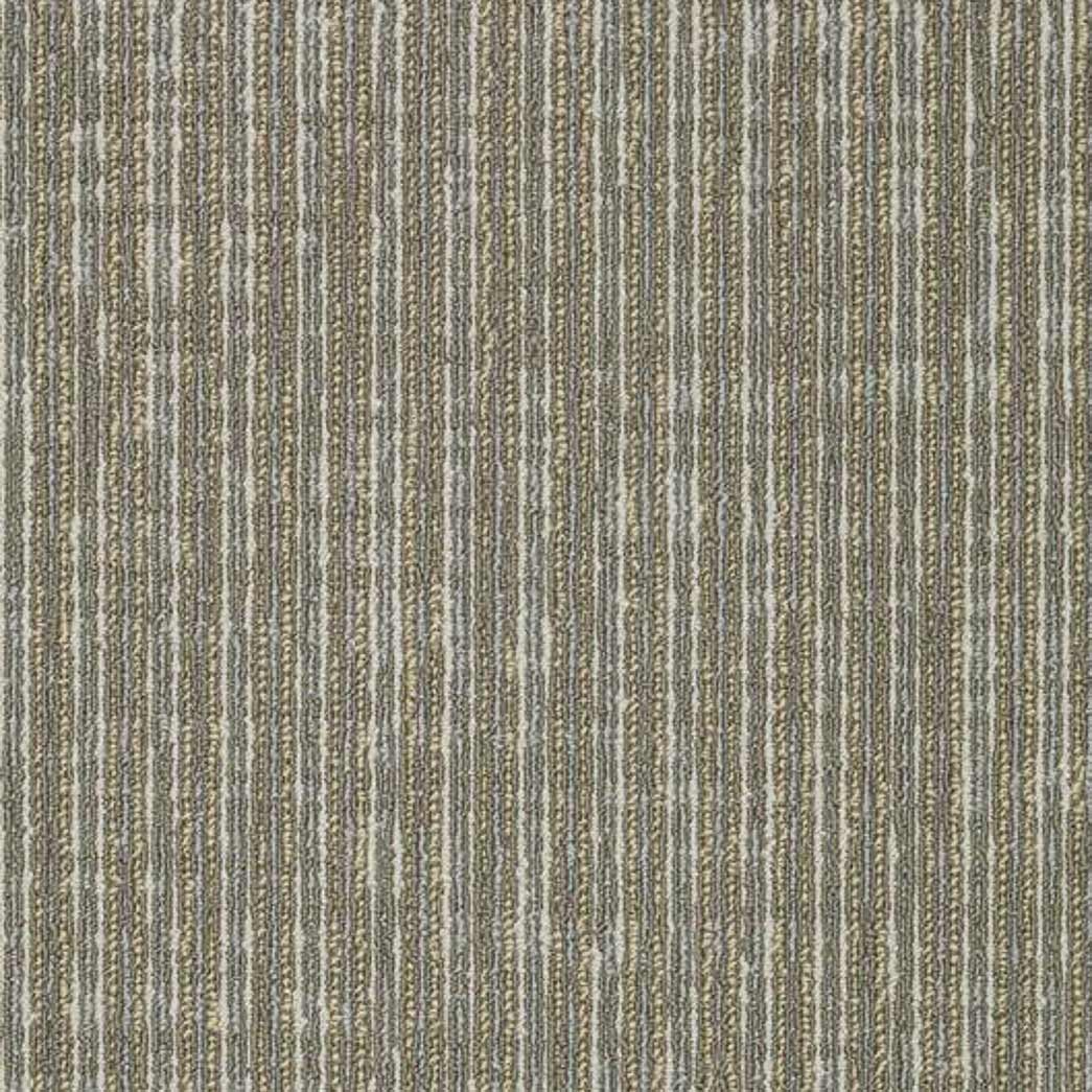 Shaw Straight Shift 18x36 Carpet Tile Factory Direct Pricing – Woodwudy ...